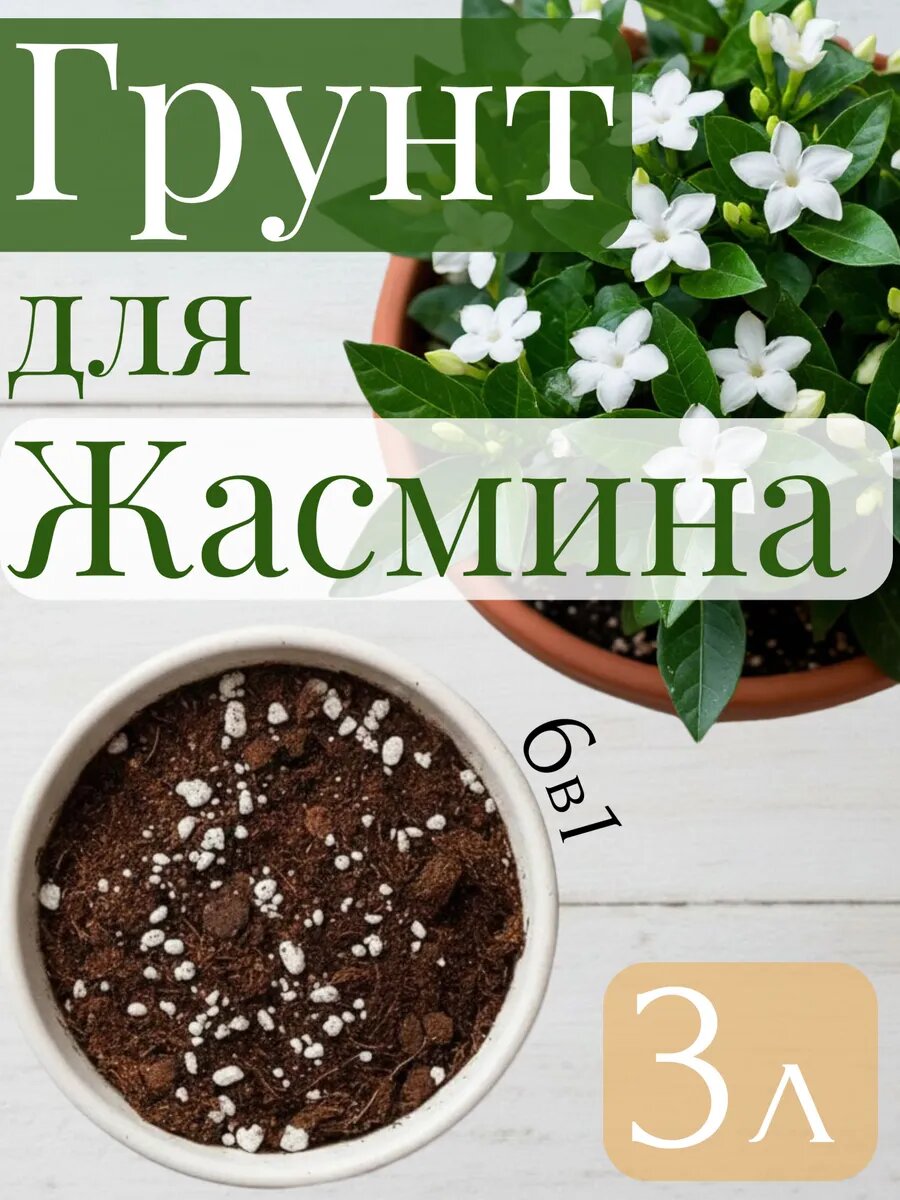 Готовый грунт для Жасмина 3 литра