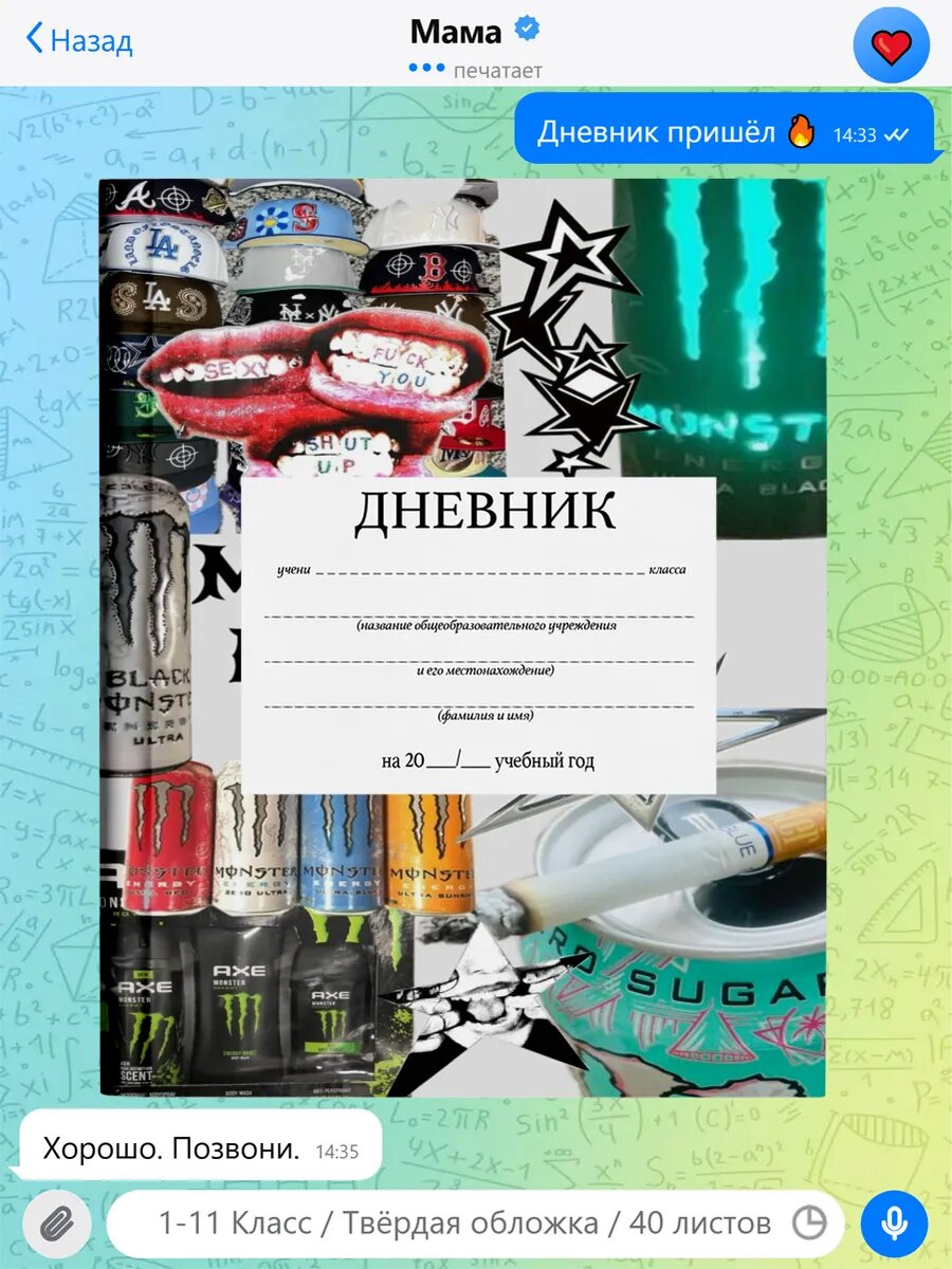 Школьный дневник с принтом y2k pinterest