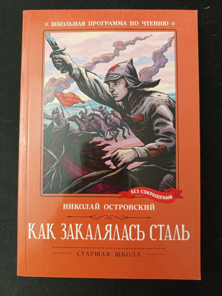 Как закалялась сталь. Островский Николай. Школьная программа по чтению. Старшая школа
