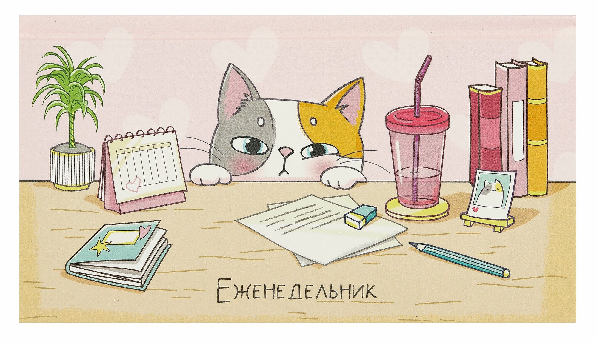 Планинг недат. 2025г. 64л 165*90 "кот-шкода" карманный,