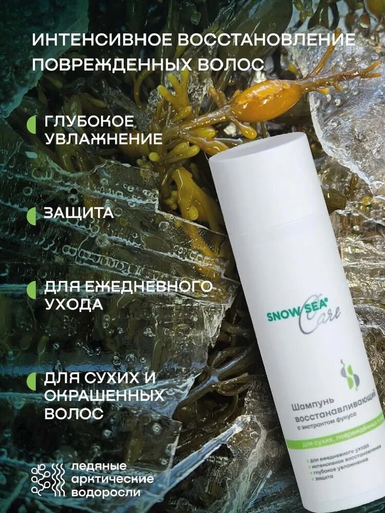 Шампунь восстанавливающий с водорослями для сухих и поврежденных волос SNOW SEA Care, 200 мл