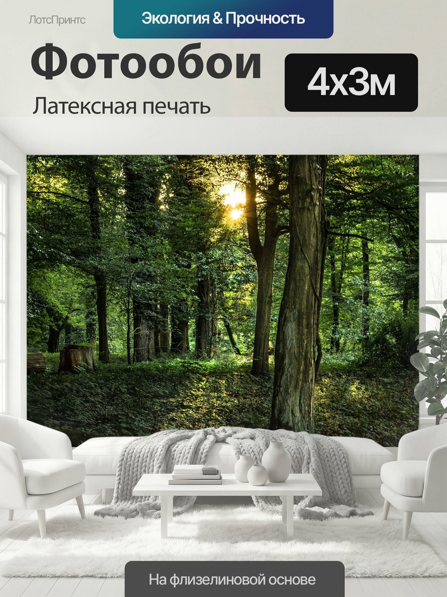 Фотообои моющиеся ударопрочные "Лес, деревья, большое количество естественного света" 400x300 см. латексная печать