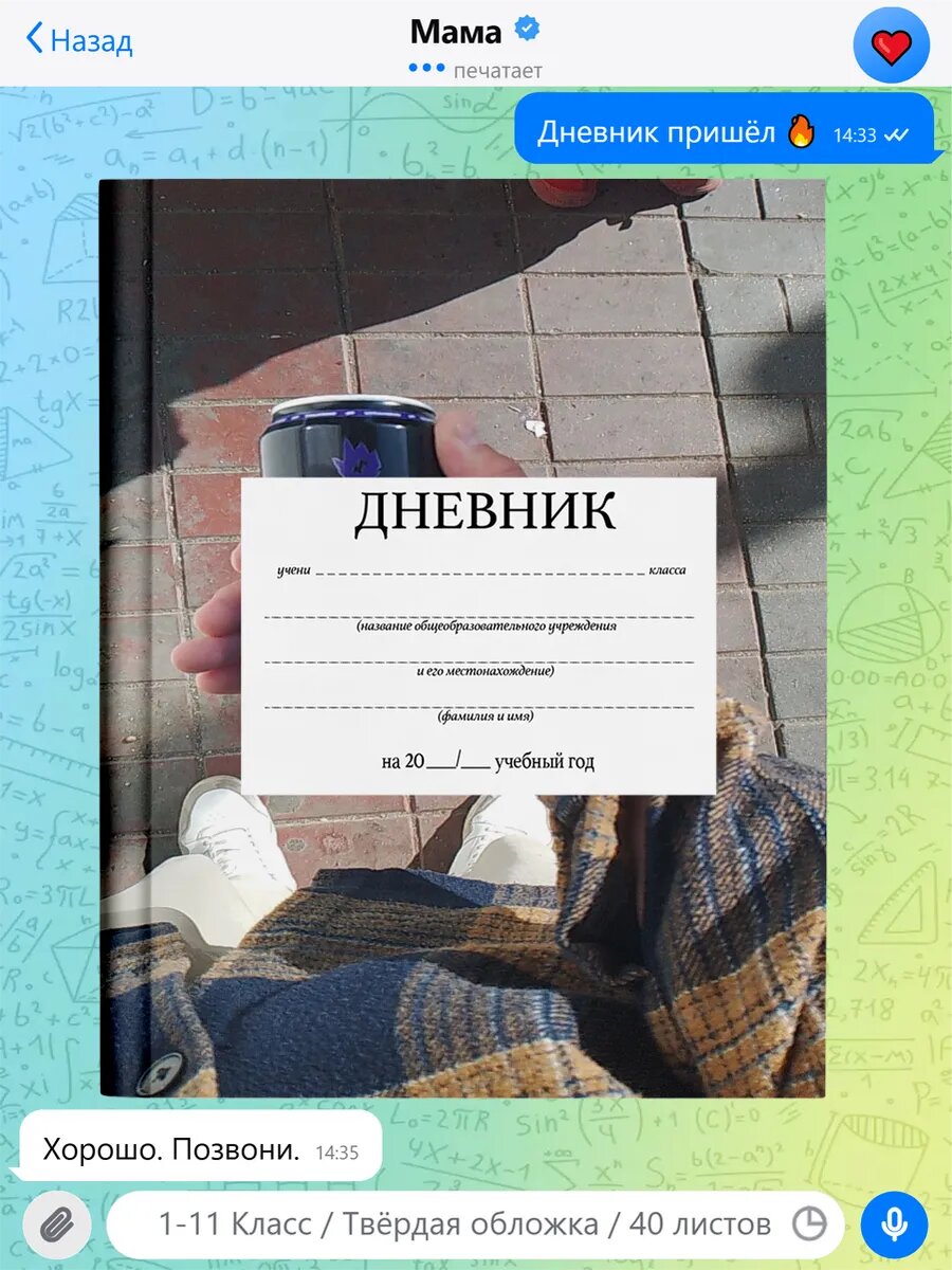 Школьный дневник с принтом Роблокс