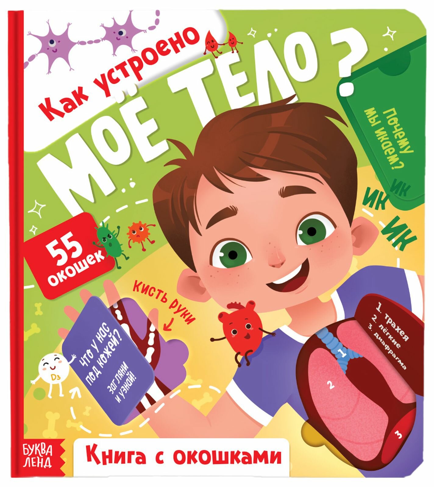 Картонная книга "Как устроено моё тело?" с окошками, развивающая интерактивная книжка для малышей, энциклопедия для детей, учим строение тела, анатомия человека, 55 окошек, 3+