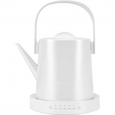 Чайник электрический Rondell RDE-WK804