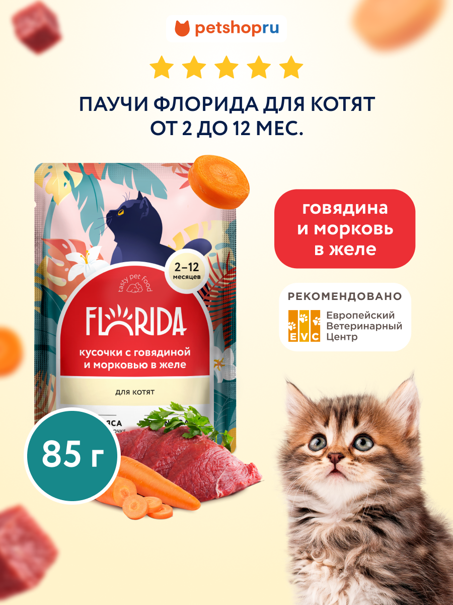 FLORIDA Паучи для кошек, влажный корм для котят, кусочки с говядиной и морковью в желе, 1 шт, 85 г