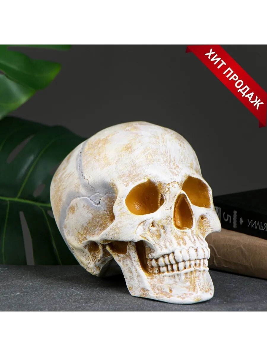 Копилка для денег Череп