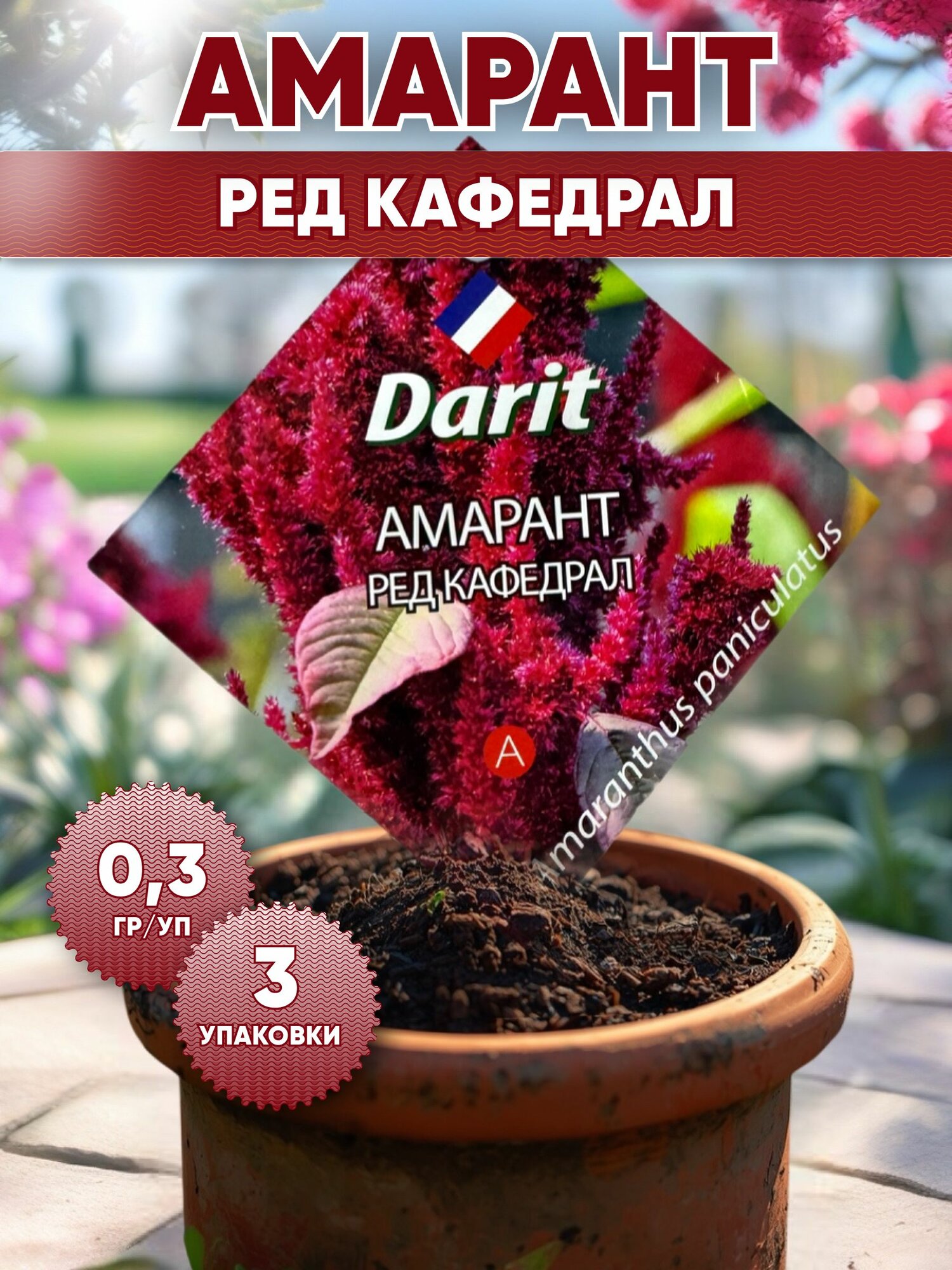 Семена Амарант Ред Кафедрал 0,3г/1уп, (3 упаковки), Darit