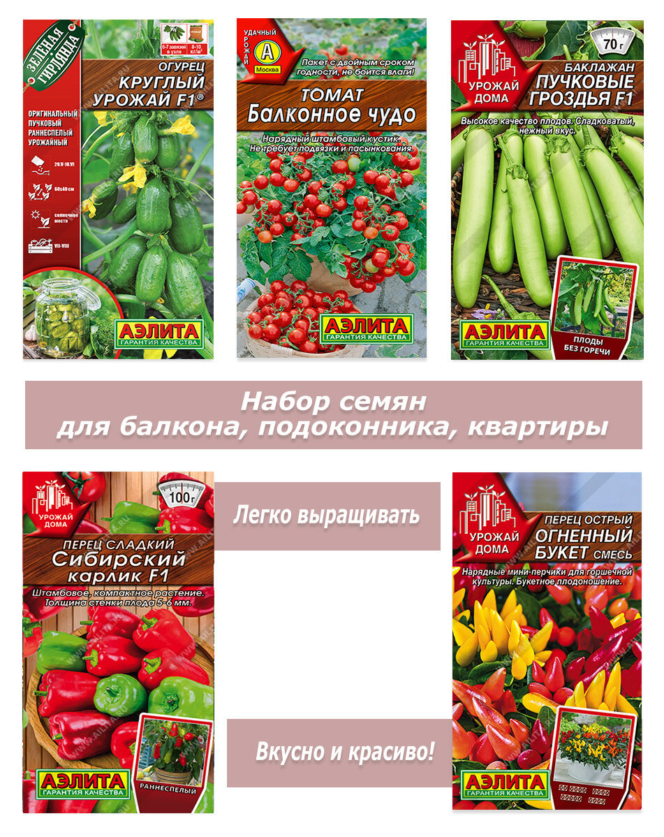 Набор семян, семена для квартиры, балкона - томат, баклажан, перец, огурец