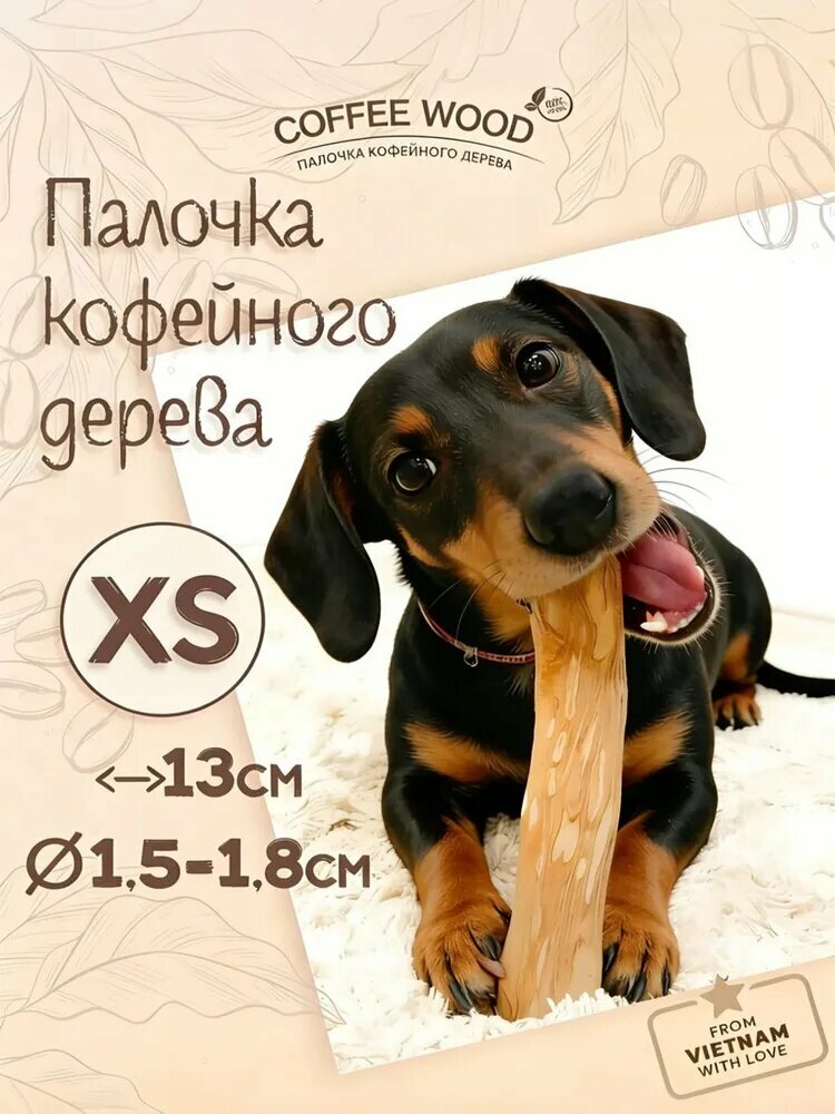 Игрушка для собак - палочка кофейного дерева Coffee Wood XS 13 см / Жевательное лакомство для чистки и здоровья зубов