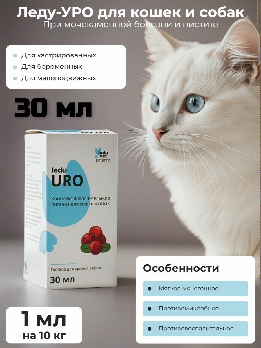 Кормовая добавка при мочекаменной болезни и цистите для кошек и собак Леду-УРО, 30 мл