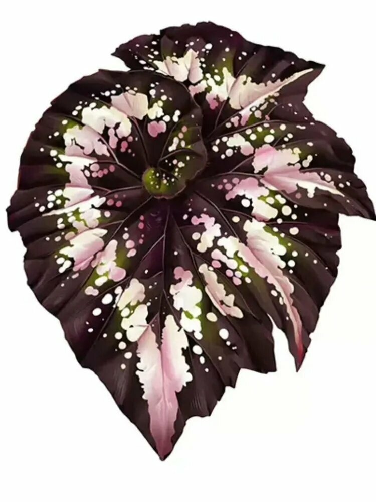 Магия Растений: Редкие тропические растения, креативные магниты на холодильник, декор для дома, серия растительных магнитов