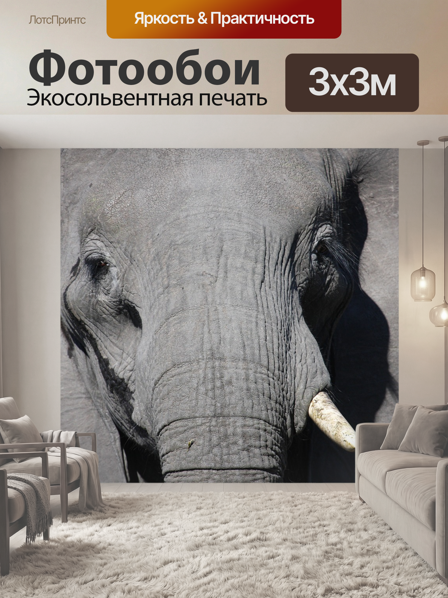 Фотообои "Слон, африка, африканский слон" 300x300 см. экосольвентная печать