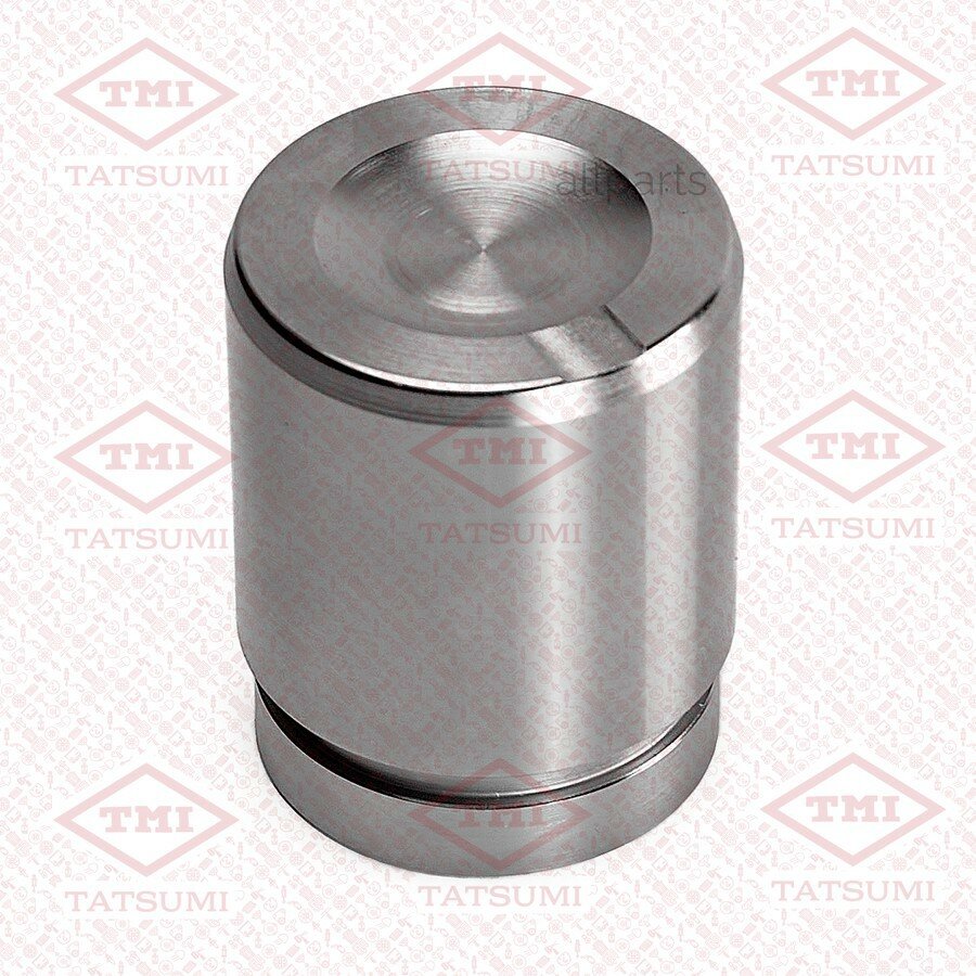TATSUMI TCG1697 Поршень тормозного суппорта