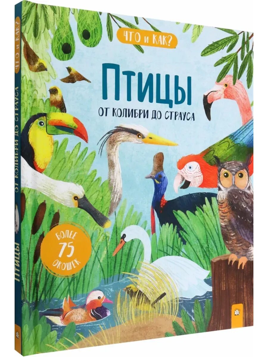 Птицы. От колибри до страуса. Что и как? Книжка-картонка