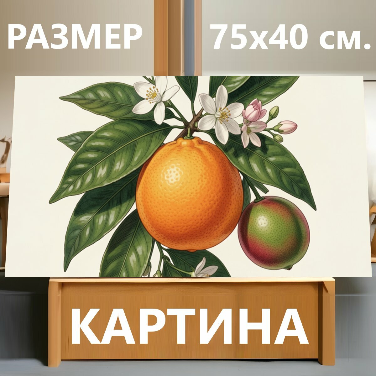 Картина на холсте "Цитрусовая ветка с цветами. Ботаническая иллюстрация с сочными плодами, глянцевой листвой и нежными бело-розовыми бутонами." на подрамнике 75х40 см. для интерьера