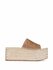 Эспадрильи Gianvito Rossi Platform heeled espadrilles, размер 41, brown