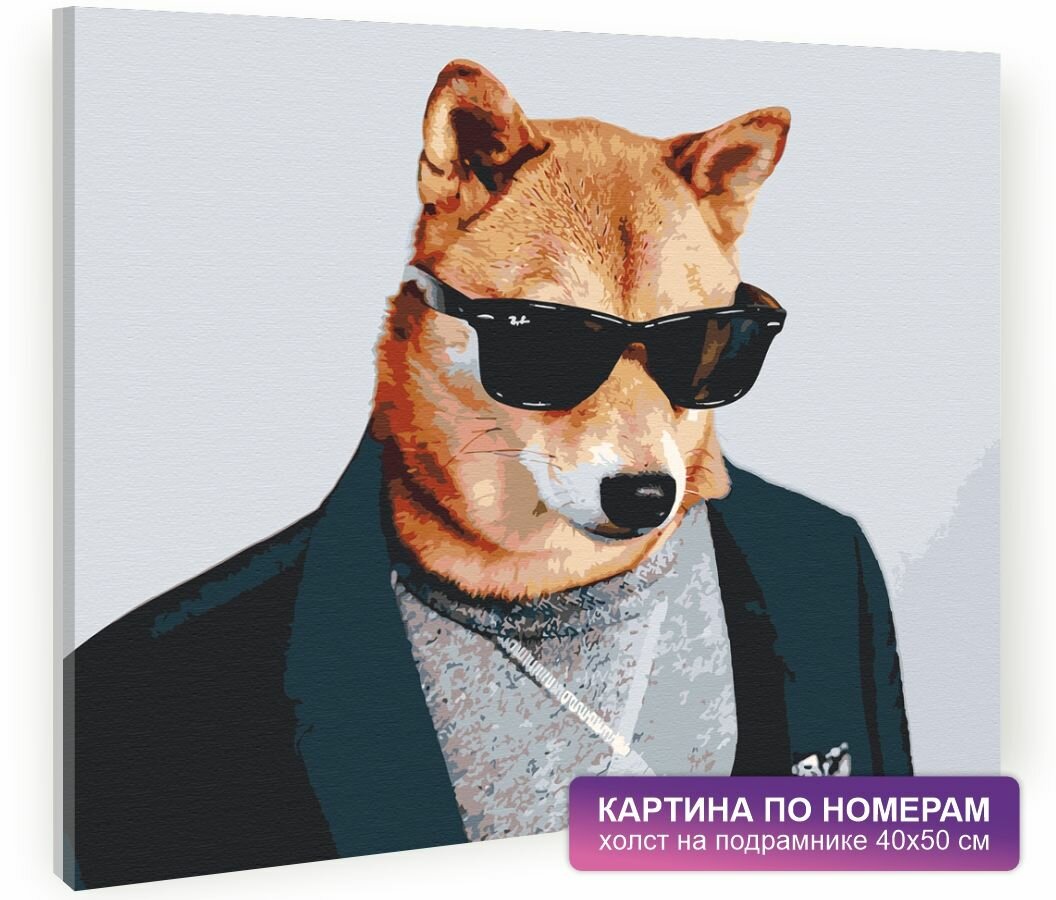 Картина по номерам на холсте с подрамником 40х50 см. Природа, животные, рыбы, птицы. Собаки, щенки. "Корги", арт. 4510/