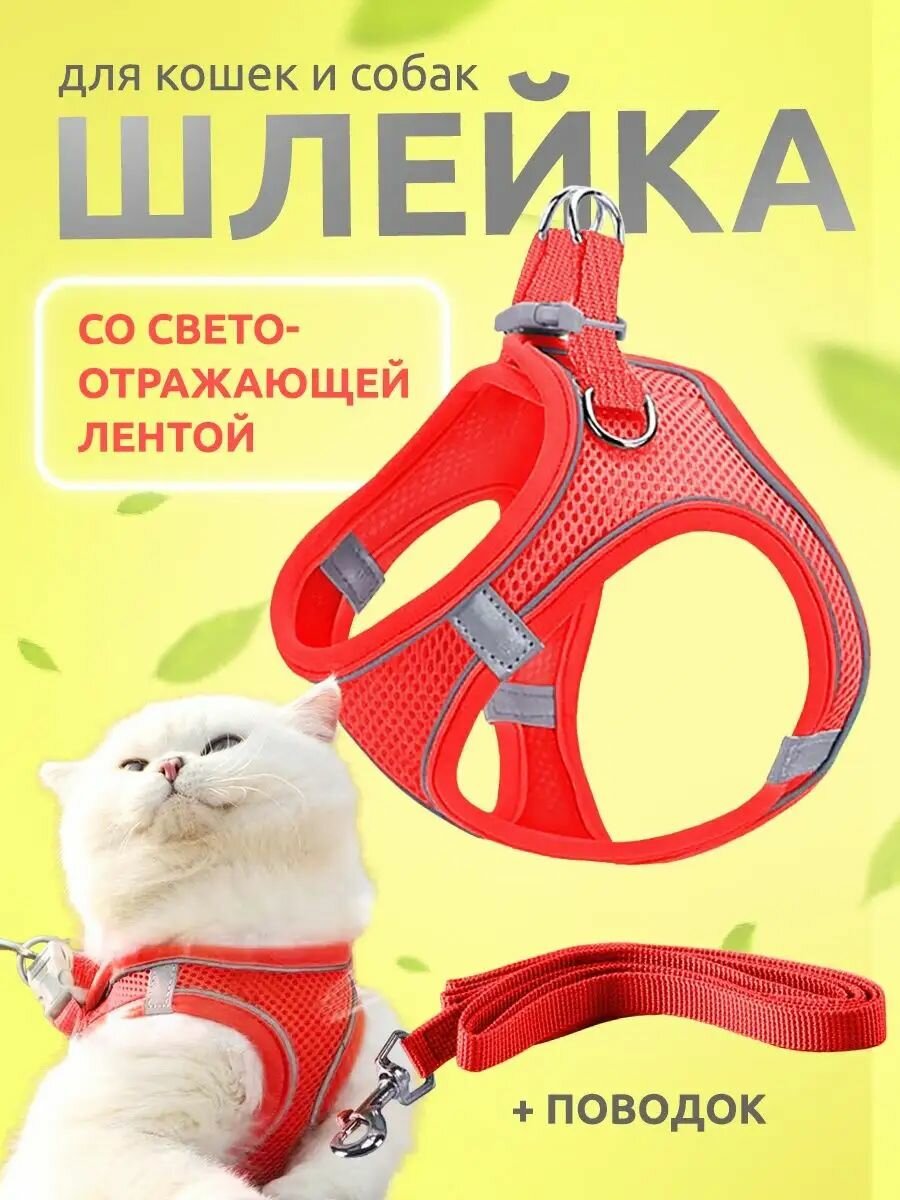 Шлейка прогулочная с поводком для кошек и мелких собак, деним, светоотражатели,