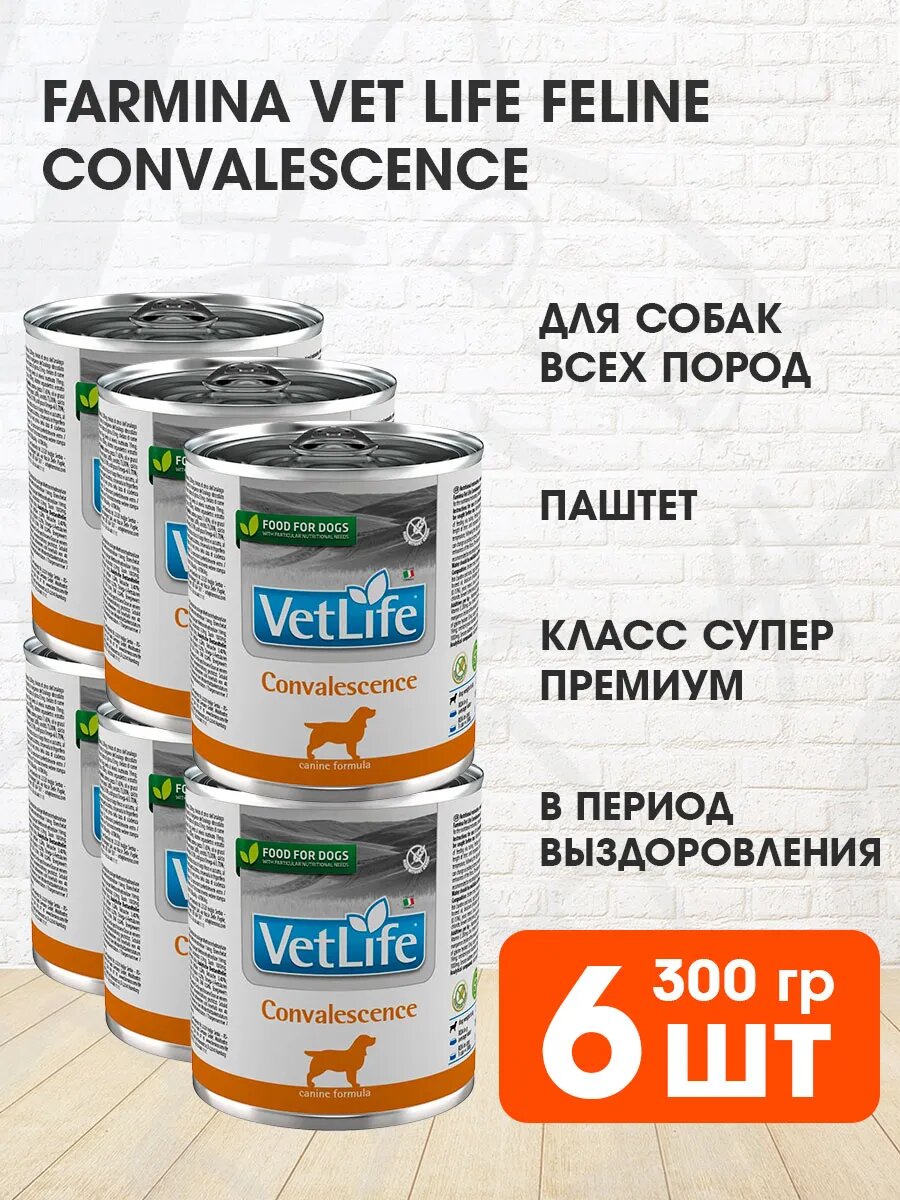 Корм влажный Farmina Vet Life Canin Convalescence для взрослых собак в период выздоровления, 300 г 6 шт