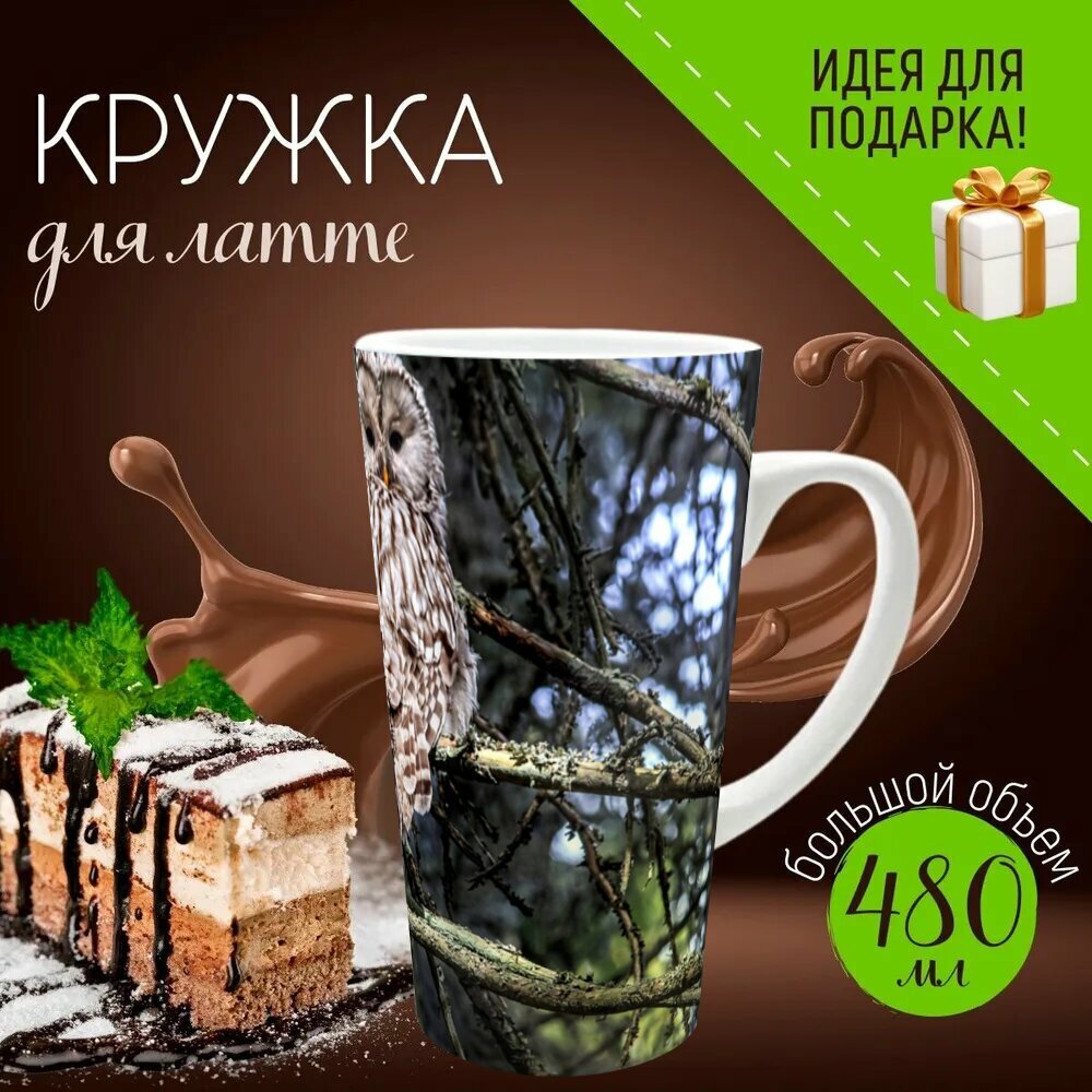 Кружка латте керамическая большая для чая и кофе с прикольным принтом "Птица, уральская сова, сова" 500 мл.