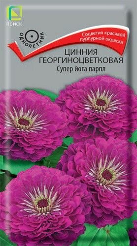Семена Цинния "Георгиноцветковая Супер йога парпл" Однолетник "Поиск"