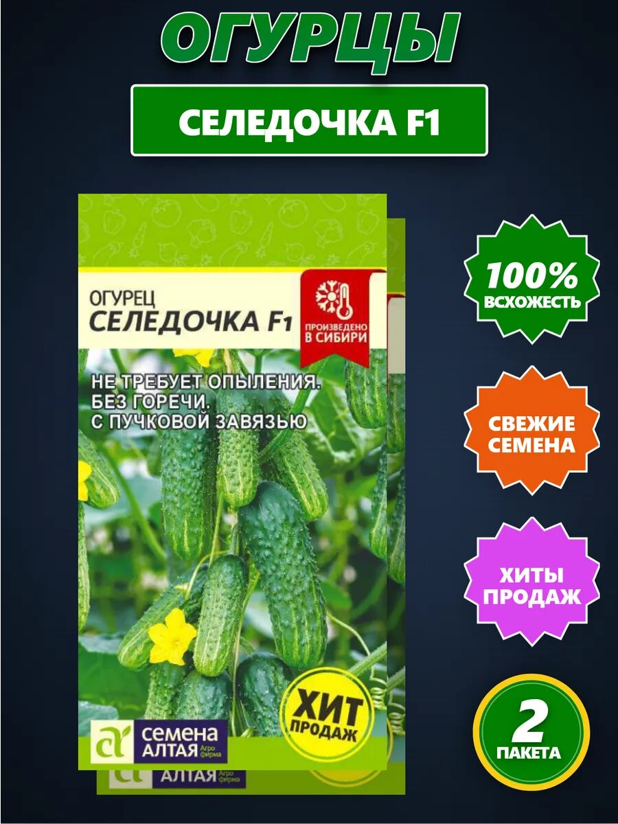 Семена огурца Селедочка F1 (2 пакета) для открытого грунта, Семена Алтая