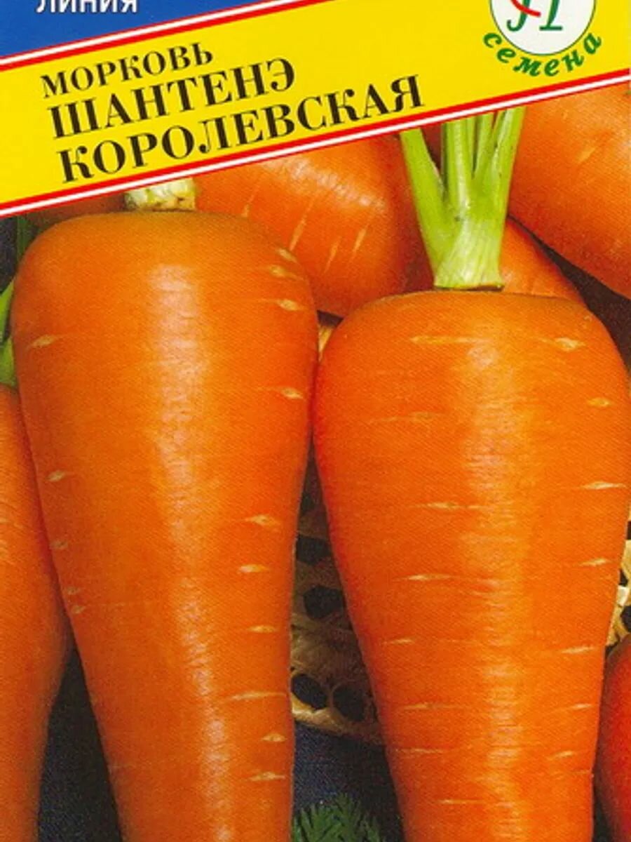 Морковь Шантенэ Королевская 1 г, Семена Престиж