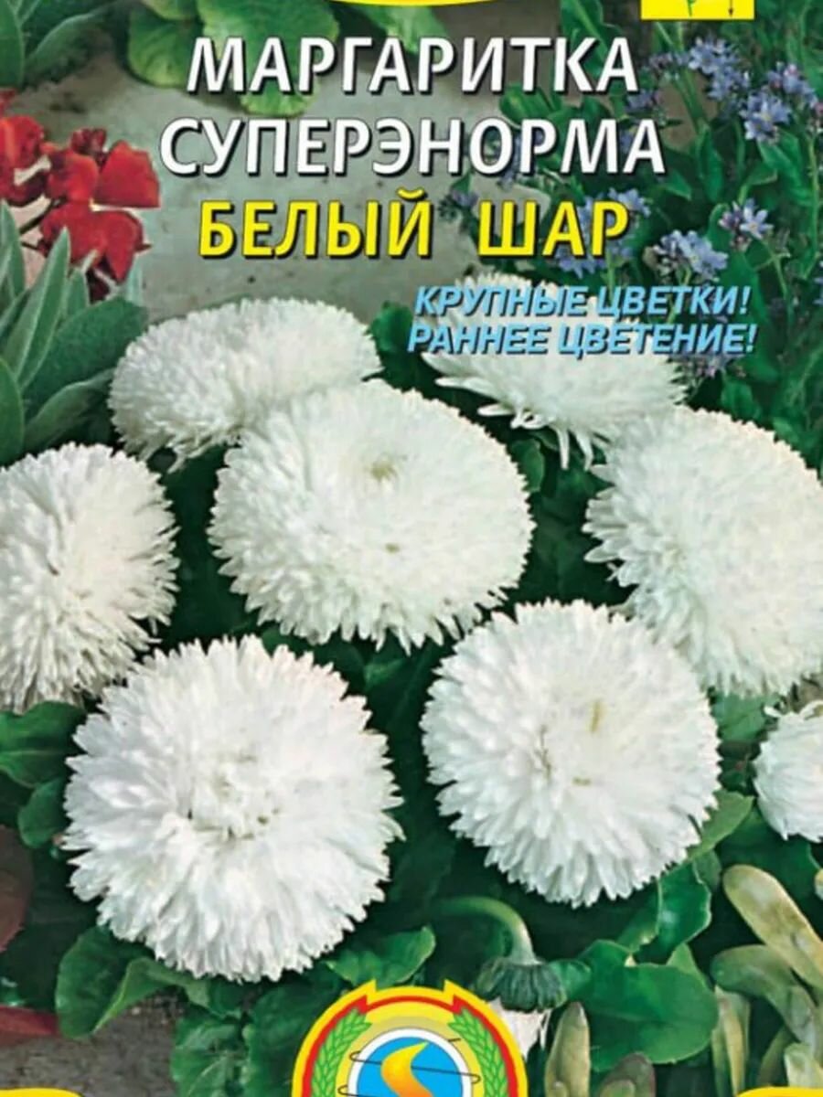 Маргаритка Белый шар СуперЭнорма 0,05г, Плазменные семена