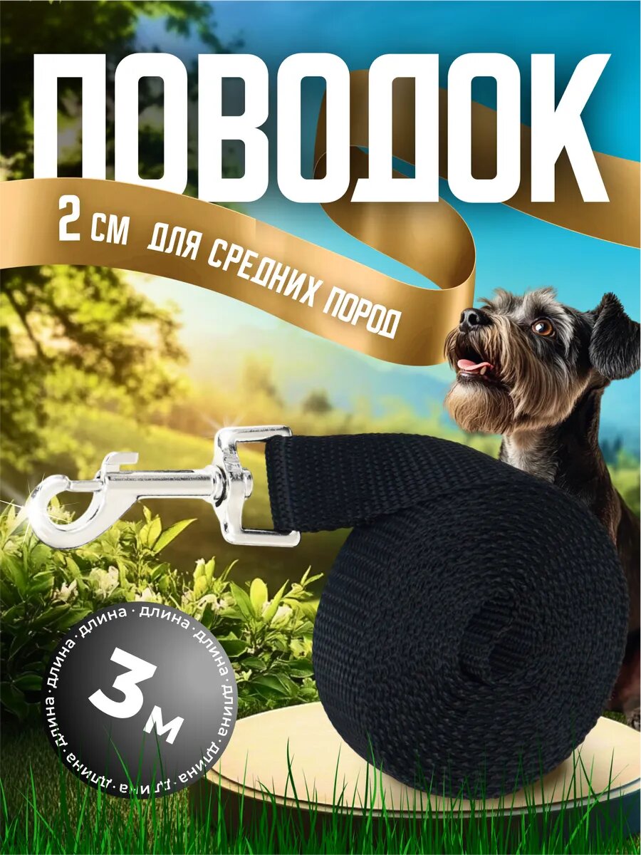 Поводок "Пижон", 3 м х 2 см, универсальный, чёрный, полиэстер