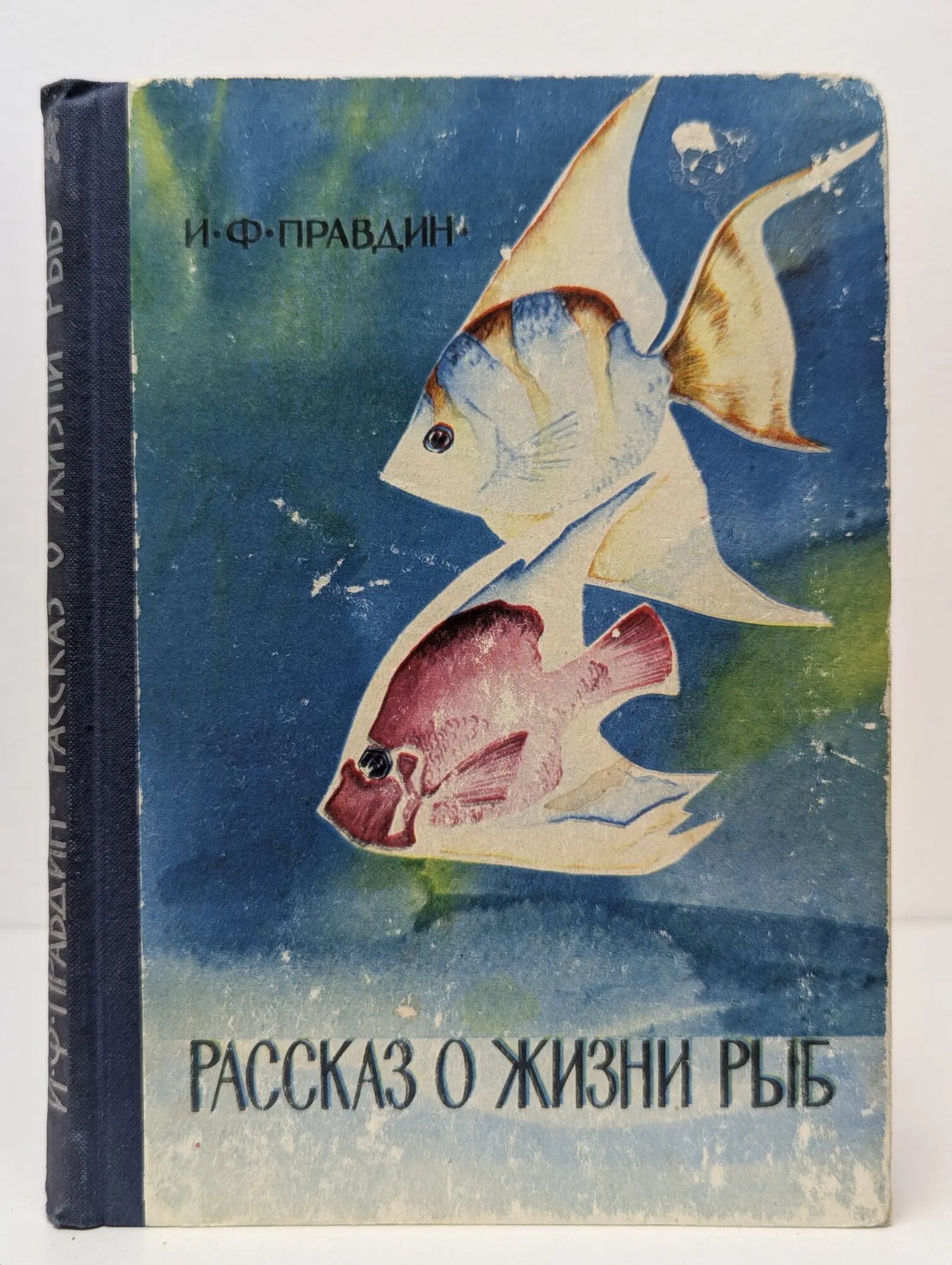 Рассказ о жизни рыб Правдин Иван Федорович 1972
