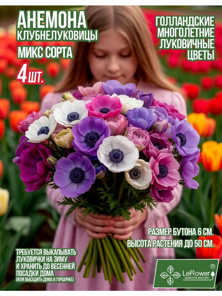 Анемона семена (клубни) цветы многолетние, микс сорта 4шт