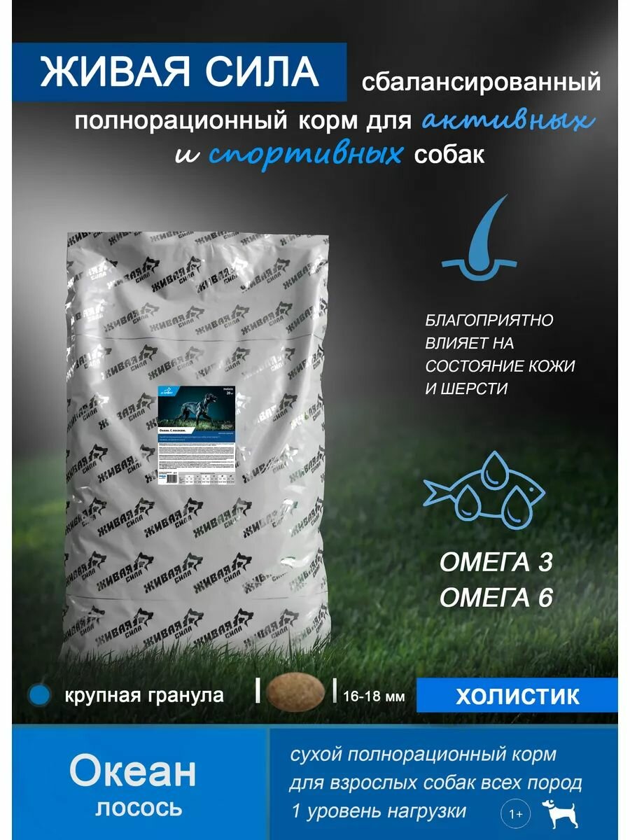 Сухой корм Холистик для собак океан с рыбой крупная гранула 20кг