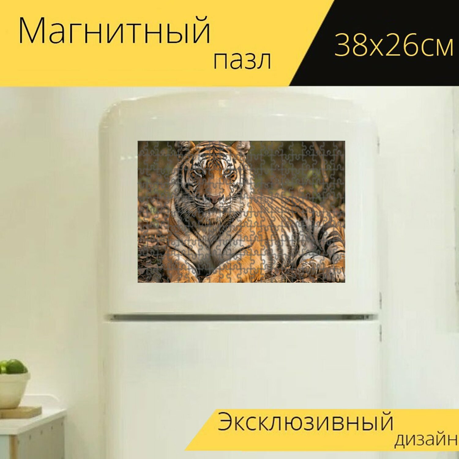 Магнитный пазл "Тигр в лесу крупным планом. Величественный полосатый хищник лежит на сухой листве среди деревьев. Реалистичная дикая природа в теплых." для интерьера, 38х26 см.