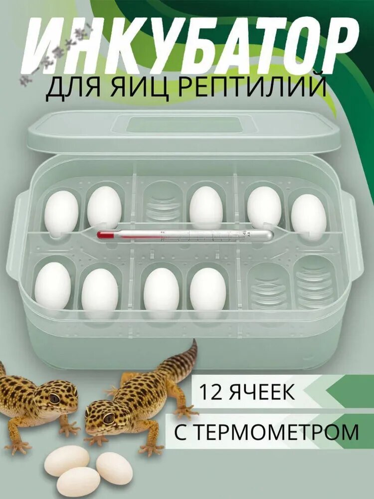 Инкубатор для рептилий.-