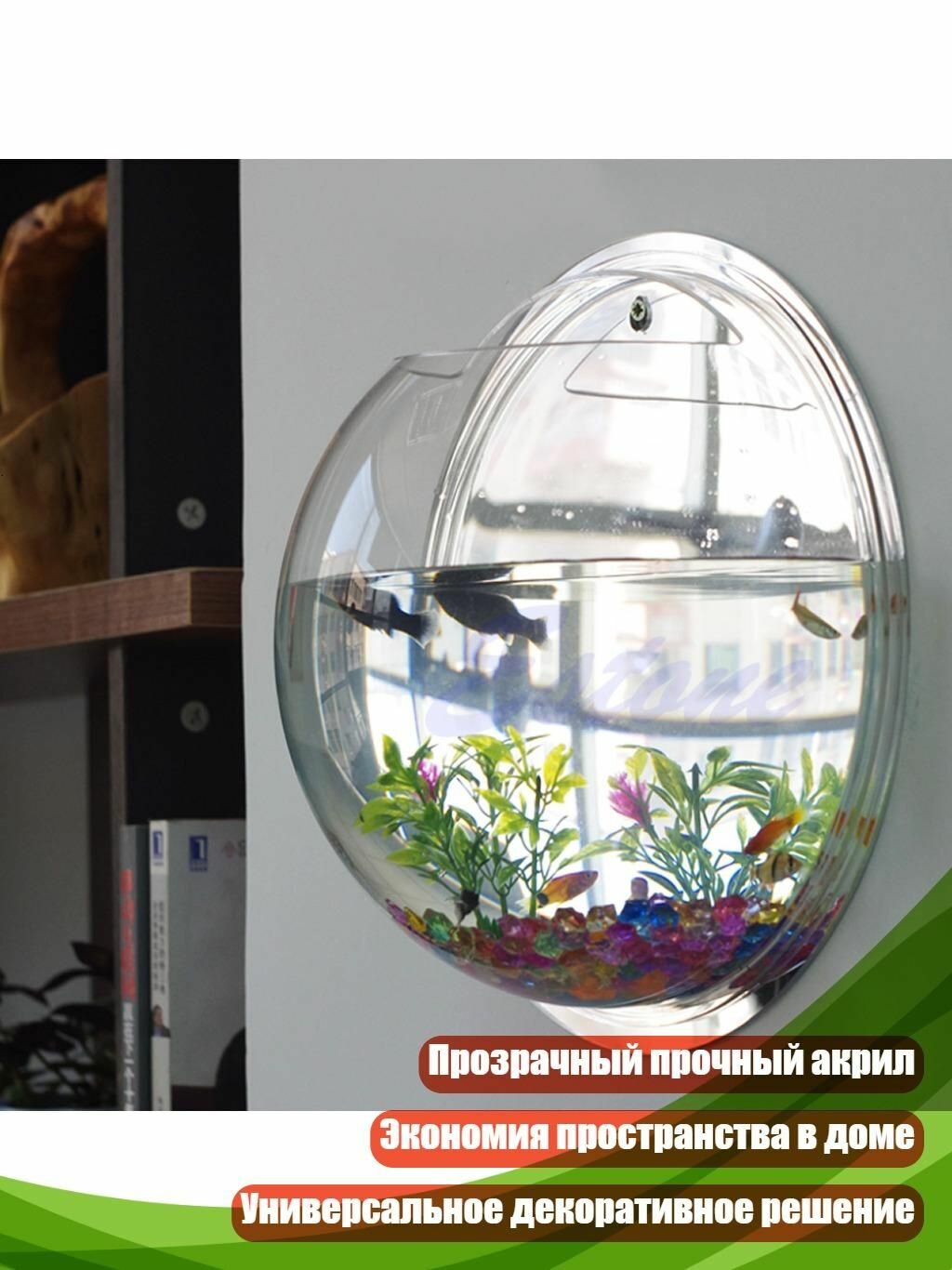 Настенный аквариум-шар для бетти, - Зеркало