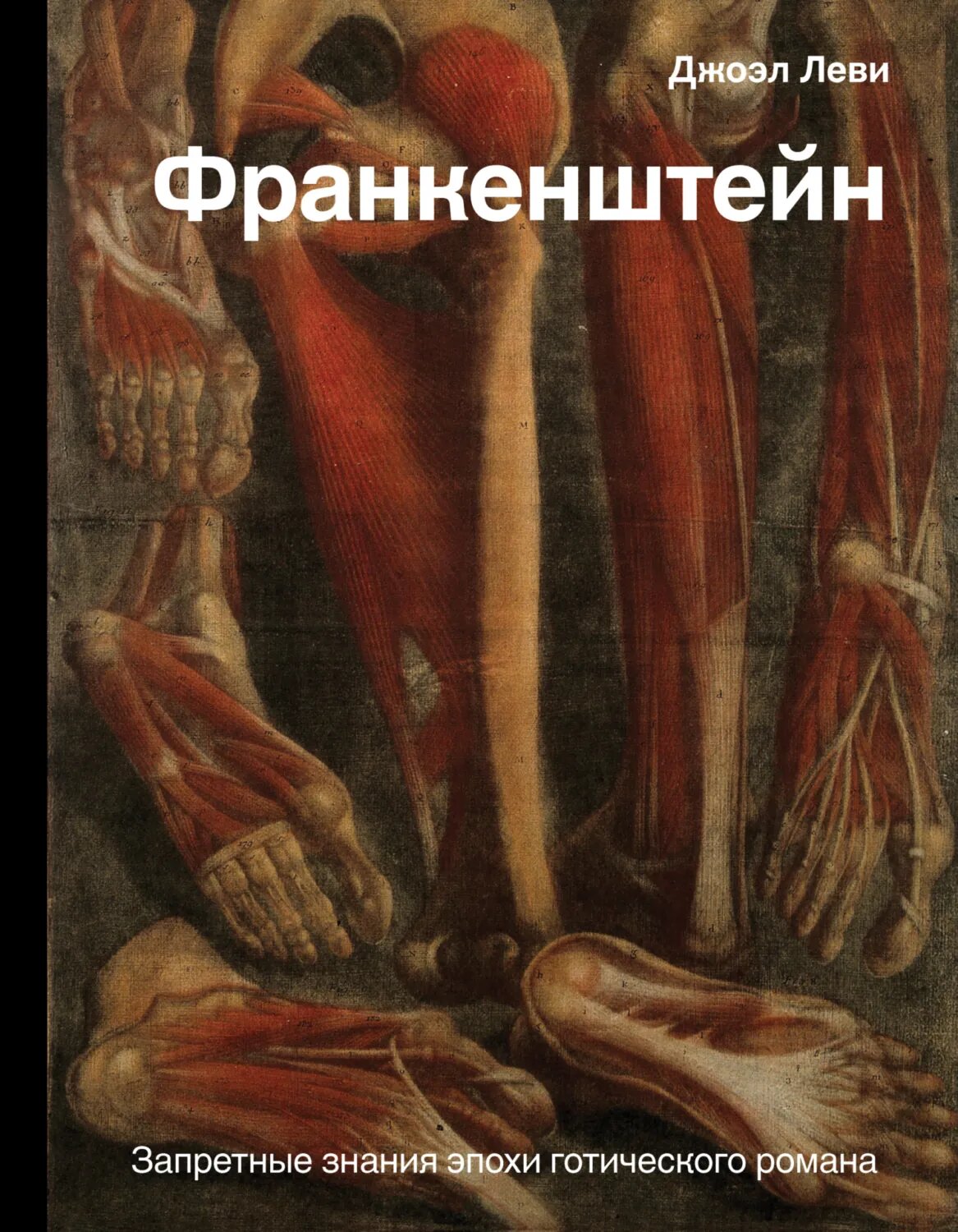 Франкенштейн. Запретные знания эпохи готического романа [Цифровая книга]