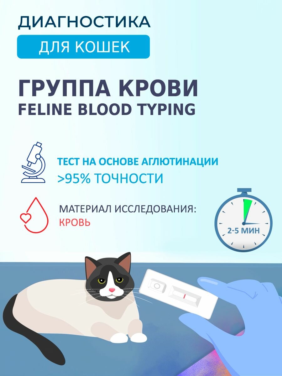 Экспресс-тест QBQVET для опреления группы крови кошек, 1шт