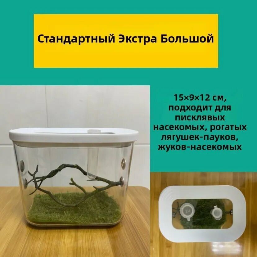 Экологичный контейнер для насекомых и наблюдения