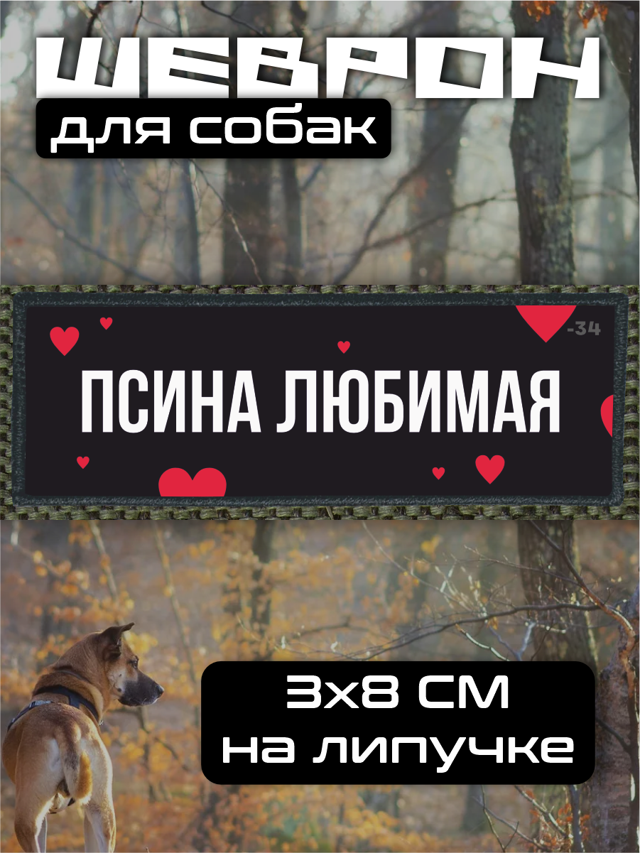 Шеврон на липучке для собак Псина любимая
