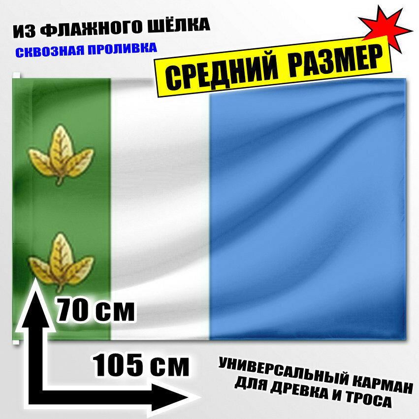 Флаг средний Тюменцевского района 105x70 см