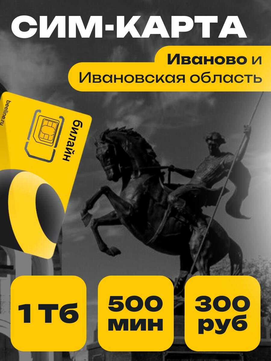Сим-карта Билайн тариф Эксклюзивный Ивановская область 1000 Гб + 500 минут за 300 руб.