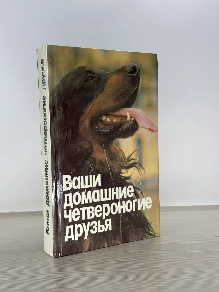 Ваши домашние четвероногие друзья