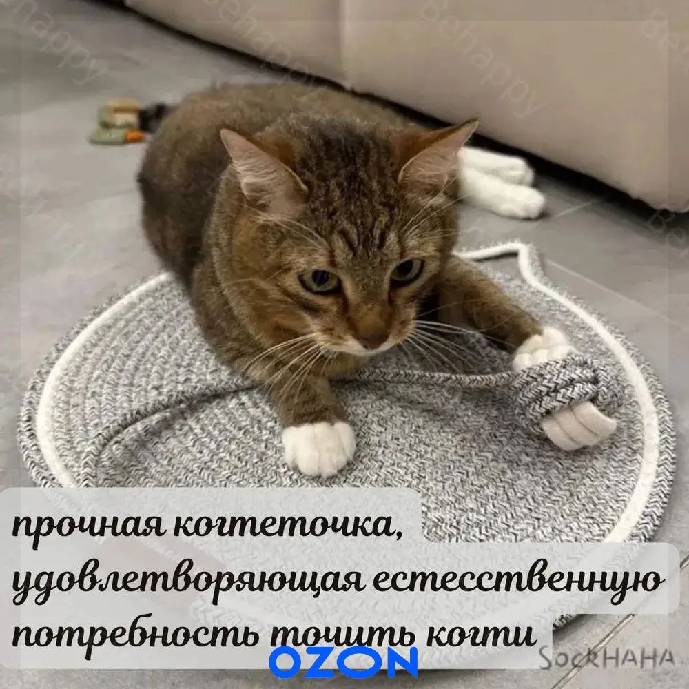 Когтеточка — фото 1