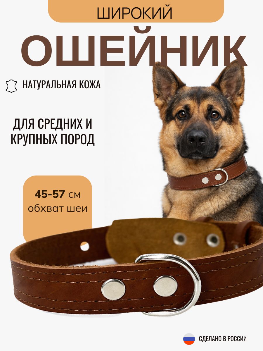 Ошейник кожаный для собак средних и крупных пород