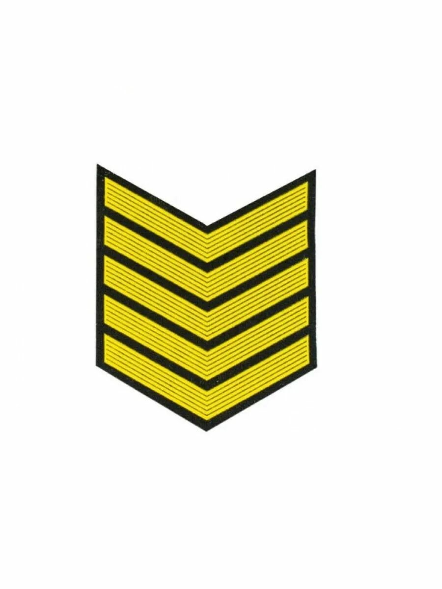 Курсовка 5 курс повседневная