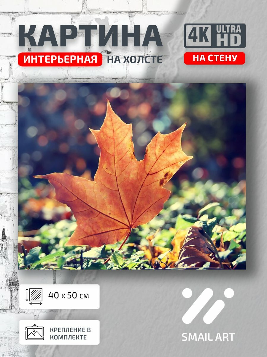 Картина на холсте интерьерная 40 на 50 на стену Земле Landscape для спальни пейзаж интерьер