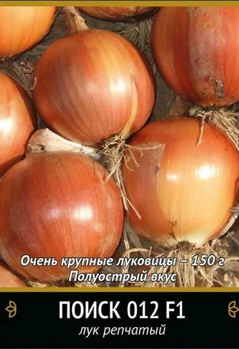 Коллекционные семена лука репчатый F1 Поиск 012