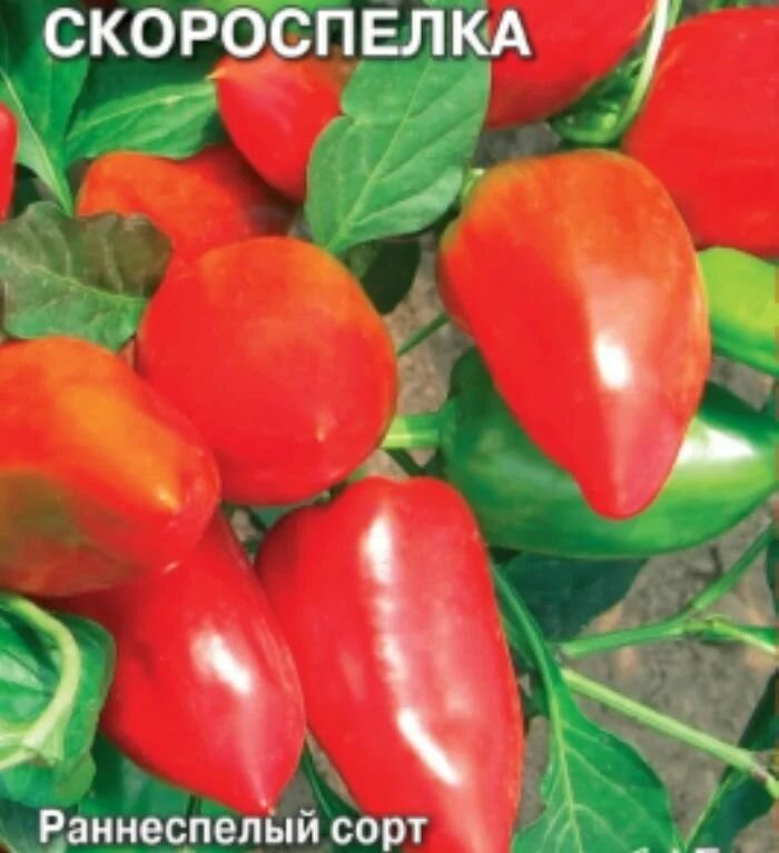 Коллекционные семена перца сладкого Скороспелка