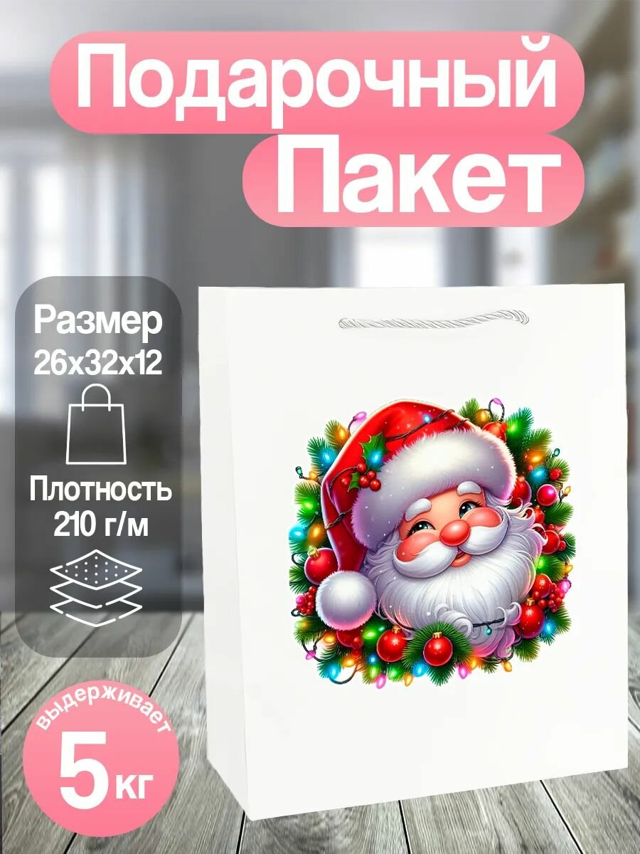 Пакет новогодний подарочный дед мороз